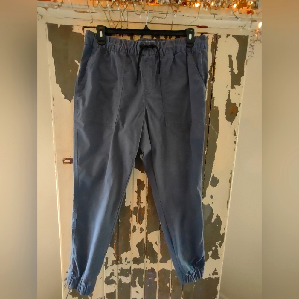 Large Modern Jogger With Built-In-Flex By Old Navy - Gem